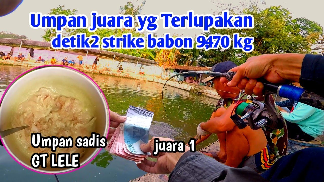Racikan ini berhasil juara berat 9,470 kg. Umpan ikan lele Galatama ...