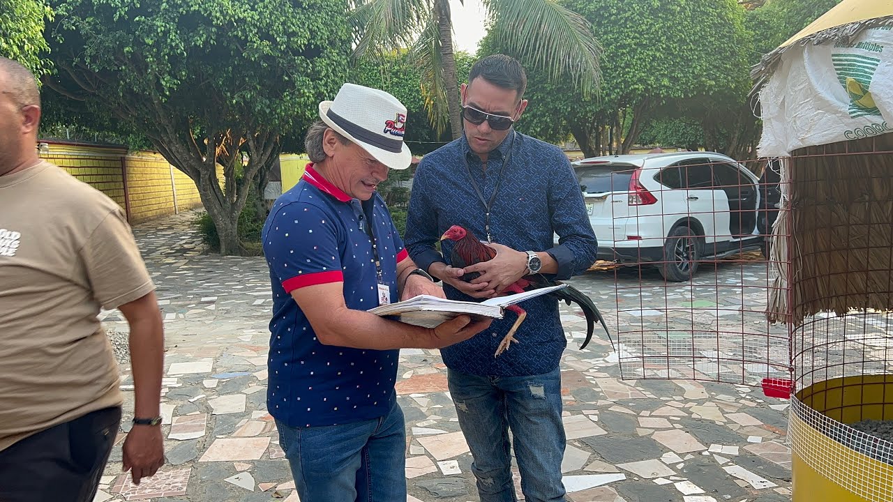 Samuel Cardona habla de su línea y los resultados - YouTube