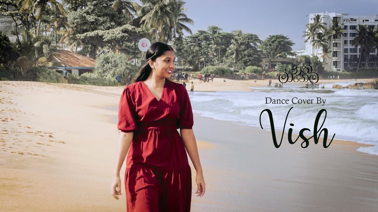 Neth Manema (මං නුඹෙ නෙත් මානෙම ඉන්නම්) | Dilu Beats | Dance Cover Movie | VISH - YouTube