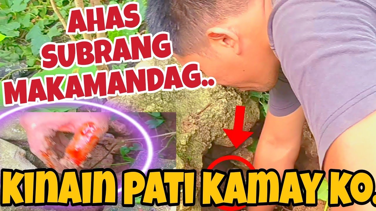MALAKING AHAS | ITO NA SYA KUMAIN SA MGA ALAGA KO NATIVE MANOK ...