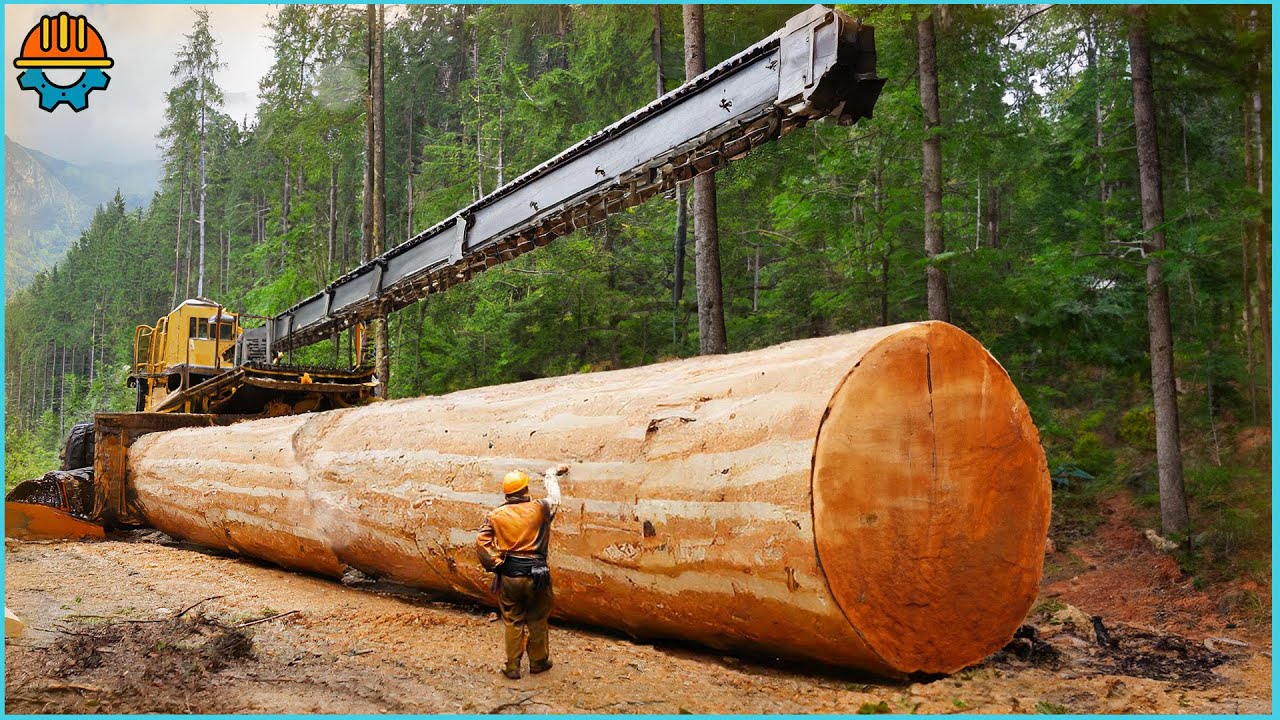200 Amazing Fastest Big Tree Felling Cutting Equipment Working - YouTube