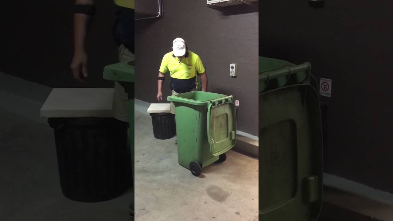 Eastern brown snake in a wheelie bin - YouTube