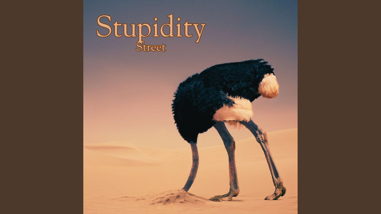 Stupidity Street (feat. Rhian King) - YouTube