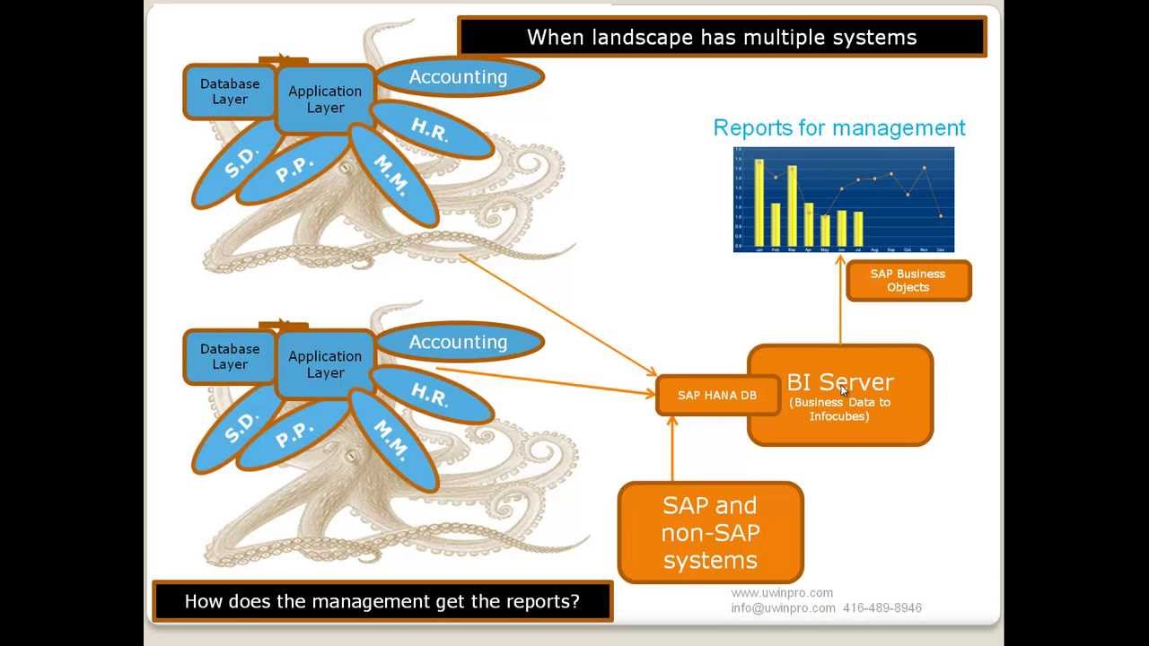 SAP Octopus Analogy - YouTube