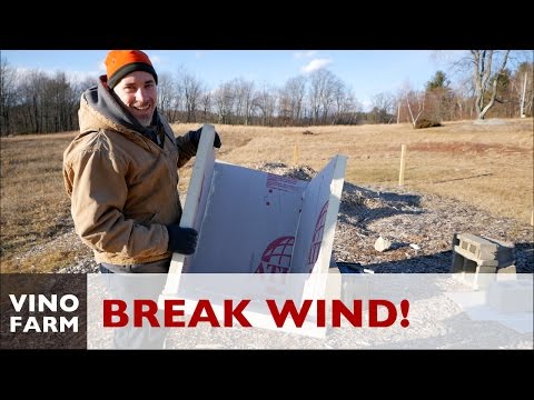 How To Protect Beehive From Wind