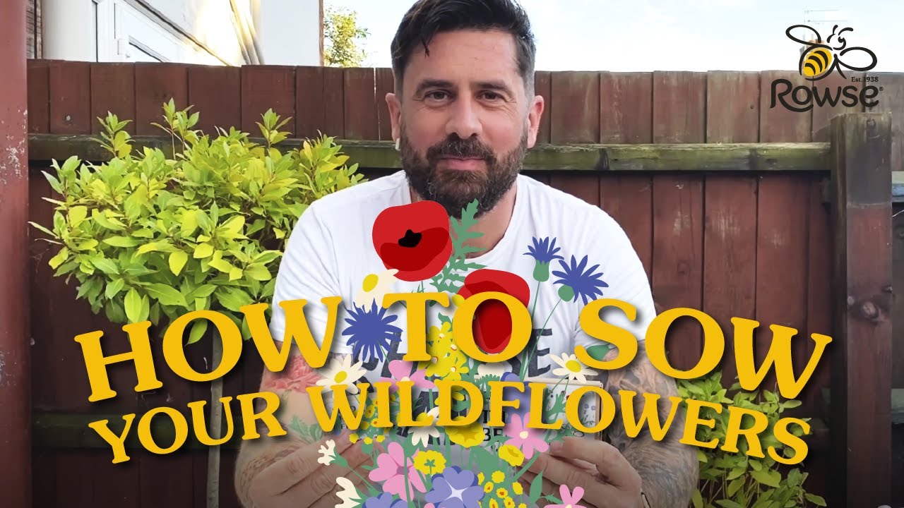 How to sow your wildflowers - Feed The Bees with Rowse - YouTube