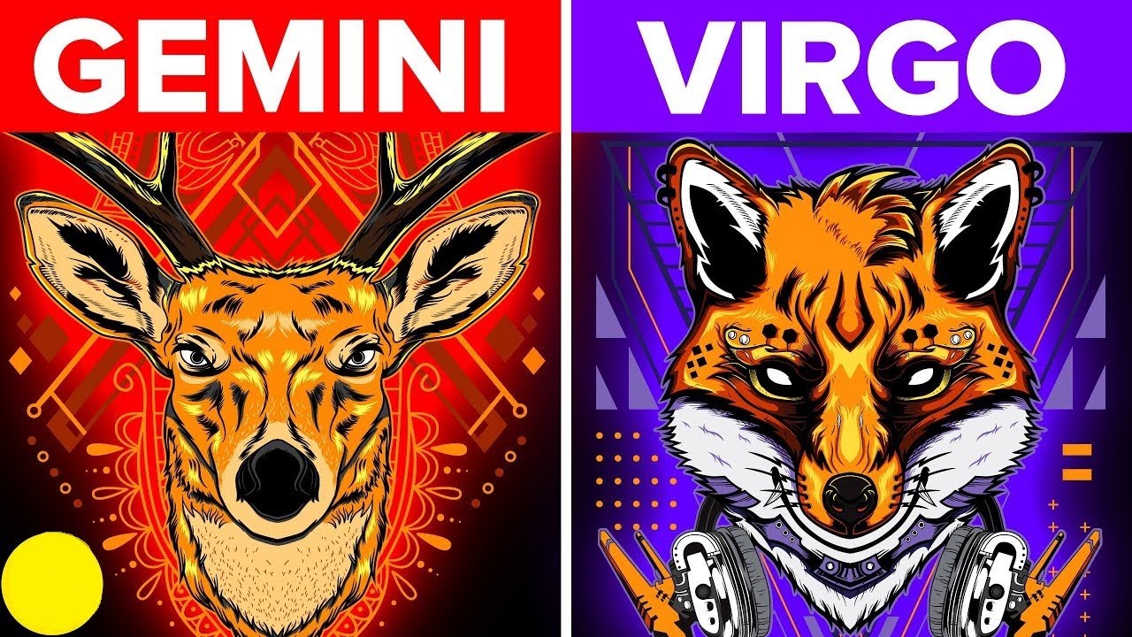 Amazing Facts About Zodiac Signs - YouTube