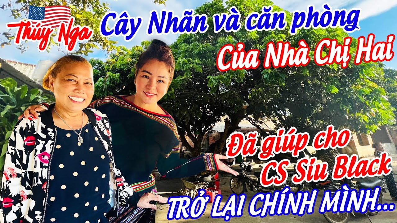 Cây Nhãn và căn phòng của nhà chị Hai đã giúp cho cs Siu Black trở lại ...