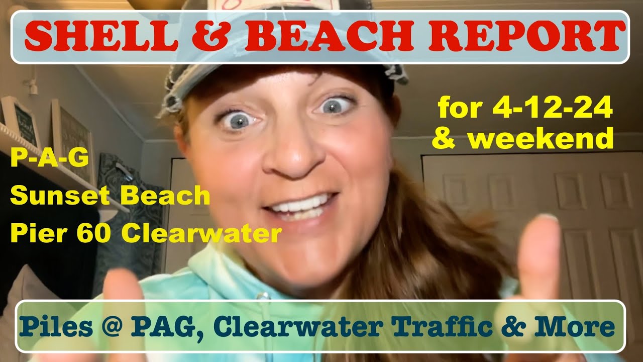BEACH & SHELL REPORT 4-12-24 CLEARWATER, PassAGrille, Sunset Beaches - YouTube