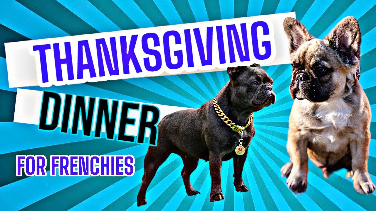 Thanksgiving Dinner For Frenchies - YouTube