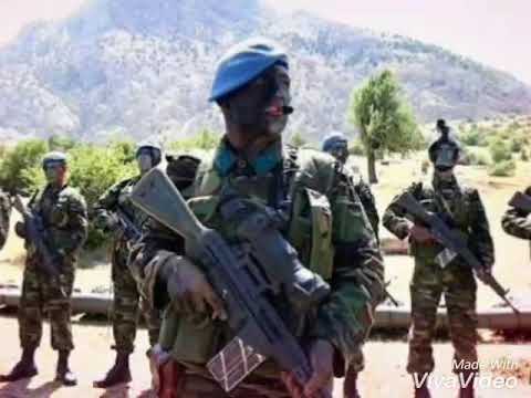 Vatan sevgisi
