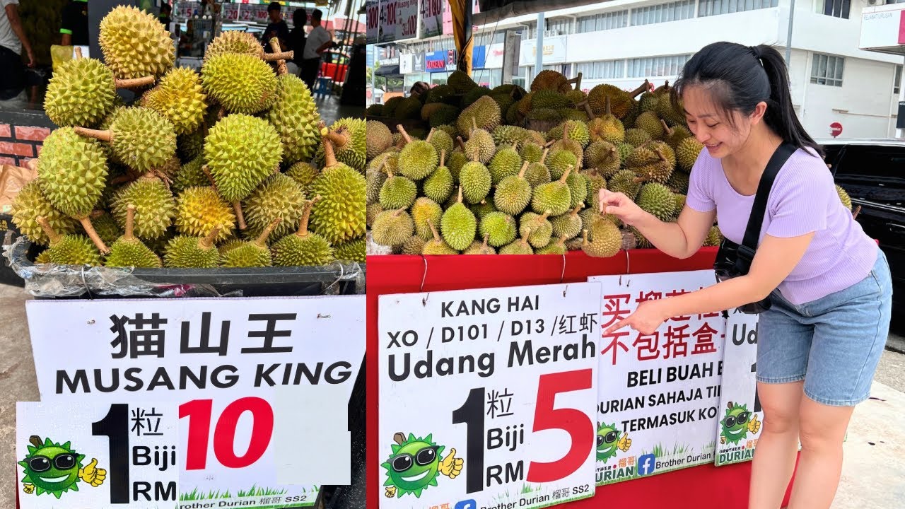 Durian Murah , Musang king,Udang Merah, Duri Hitam(pj ss2 durian - YouTube