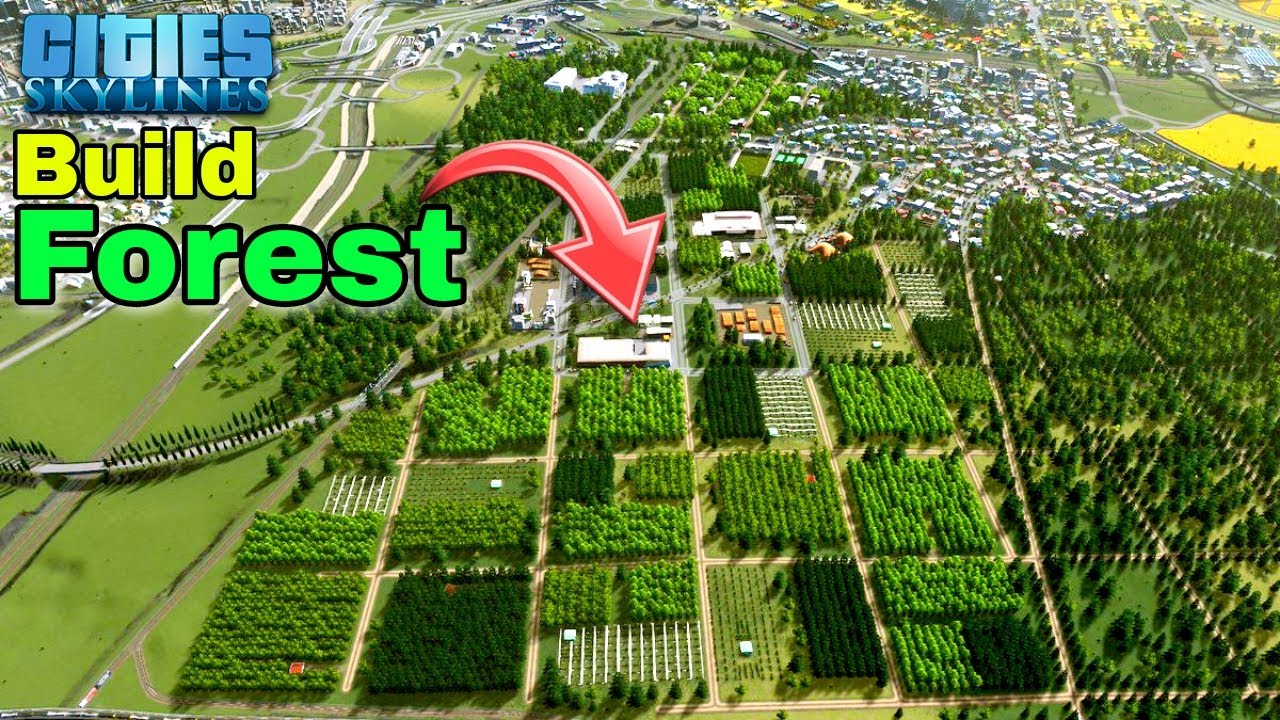 Build Beautifuuuul Forest Industry in Cities Skylines Gameplay #15 - YouTube