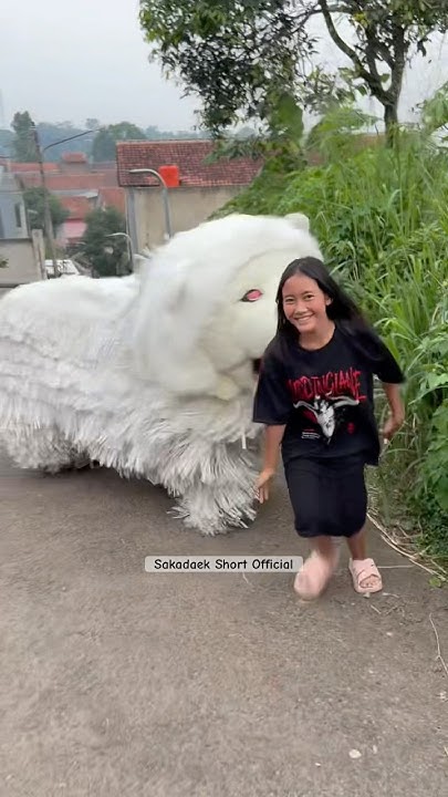 CAN MACANAN Kejar Cewe Cantik - YouTube