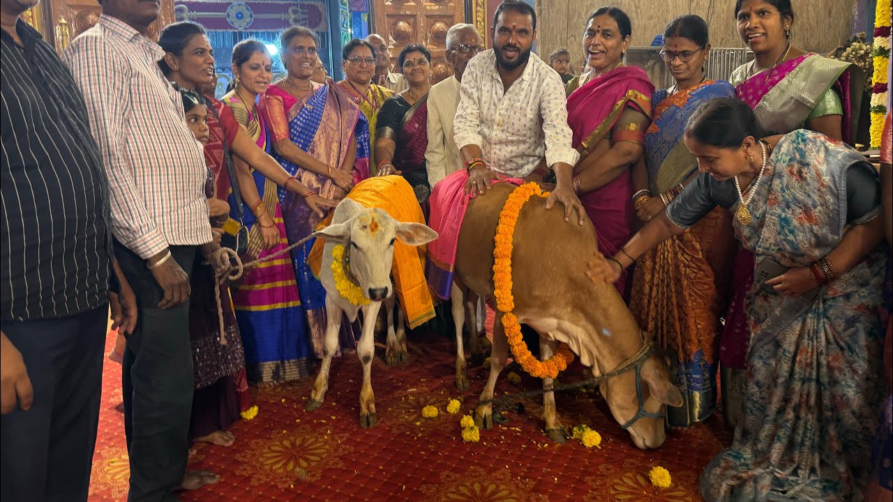 05-11-2025 Gomatha pooja Sri Mahankaleshwara Devalayam, Miralam Mandi ...