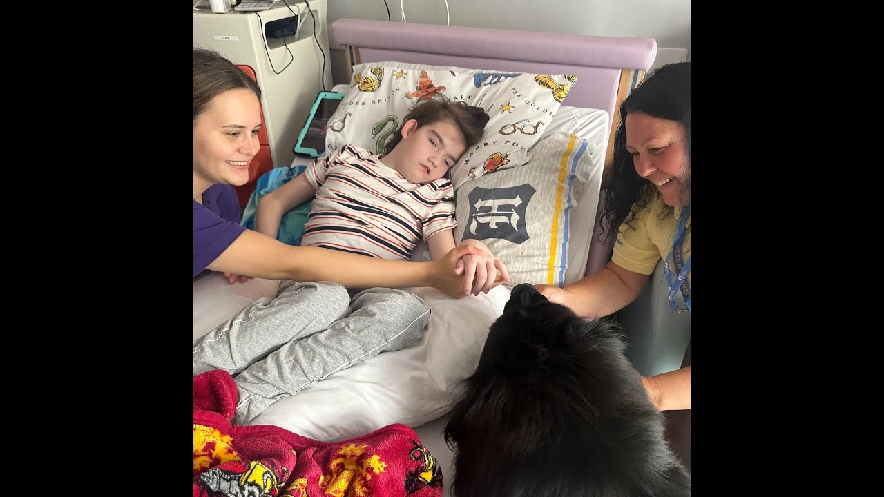 Oscar’s special visit from PAT dog (Pets as Therapy) Sasha - YouTube