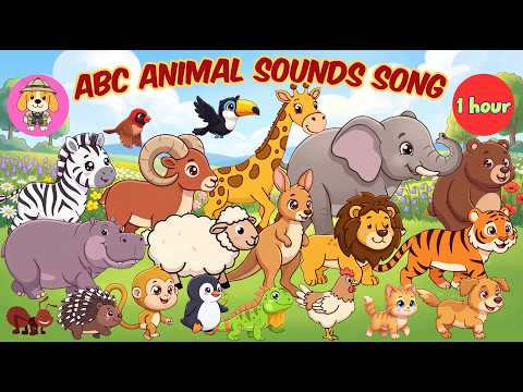 ABC Animal Sounds + Alphabet Animals + More Songs | Nursery Rhymes for Babies | Little Puppy Learn