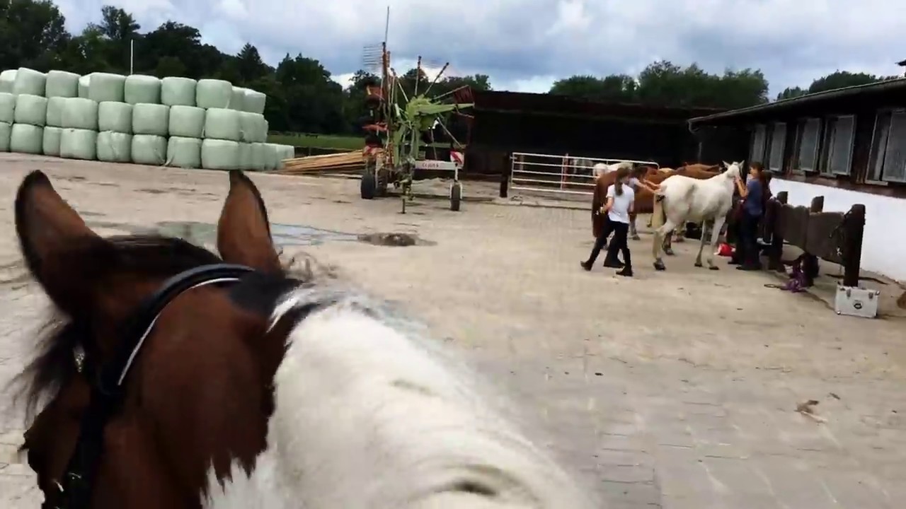 Gut Stockum 2017 - YouTube