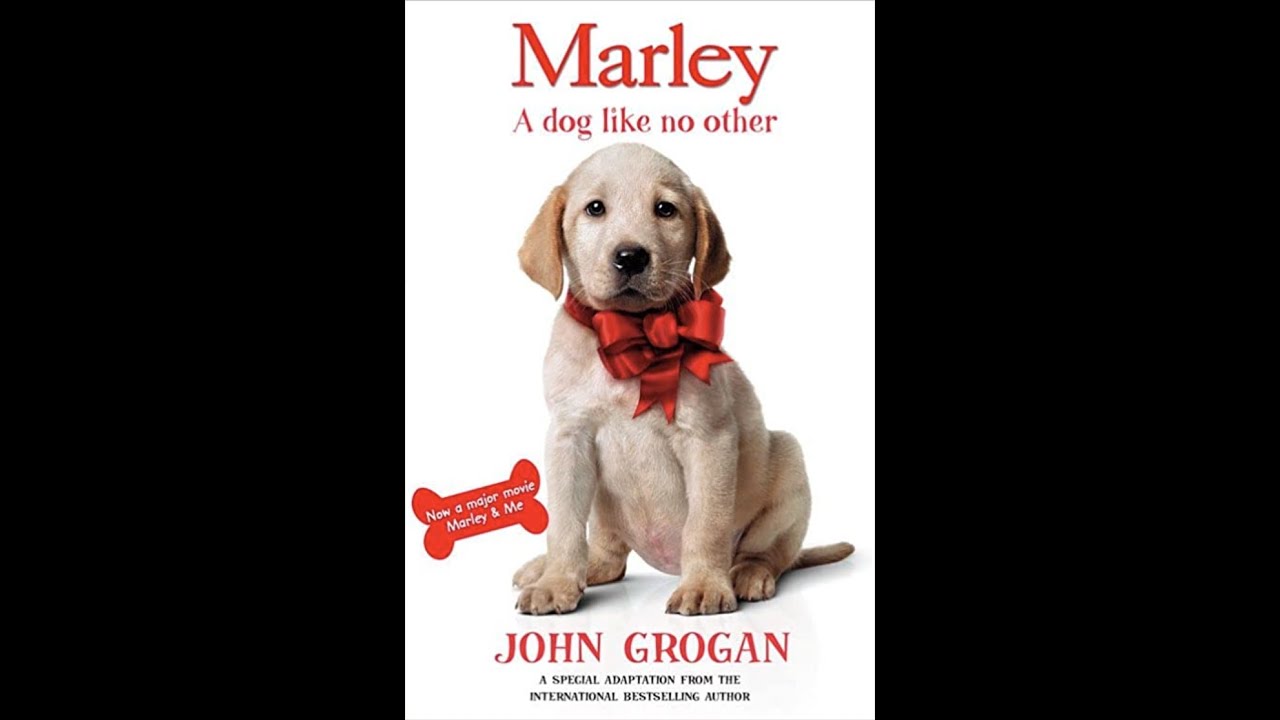 Marley A Dog Like No Other | Book Review - YouTube