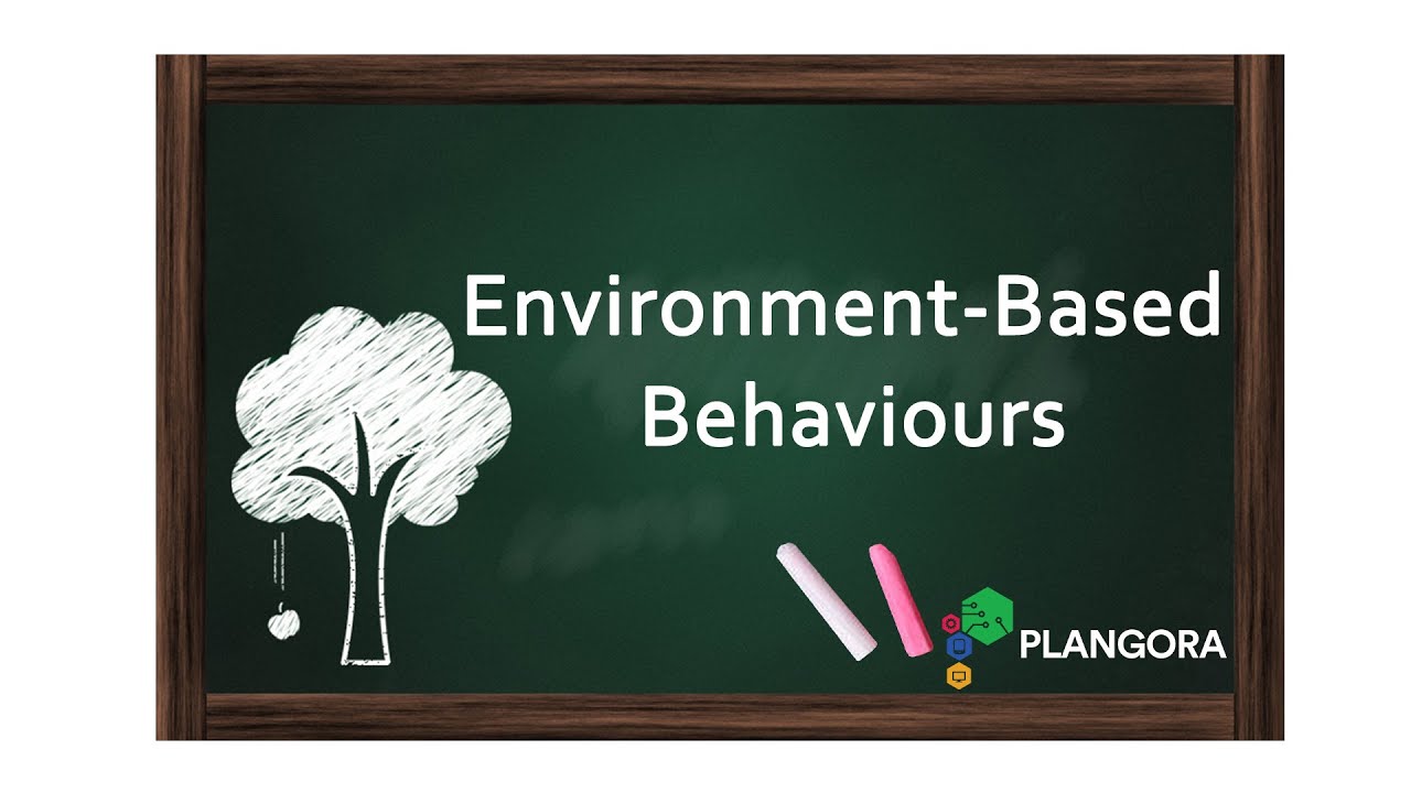 Environment-Based Behaviours - YouTube