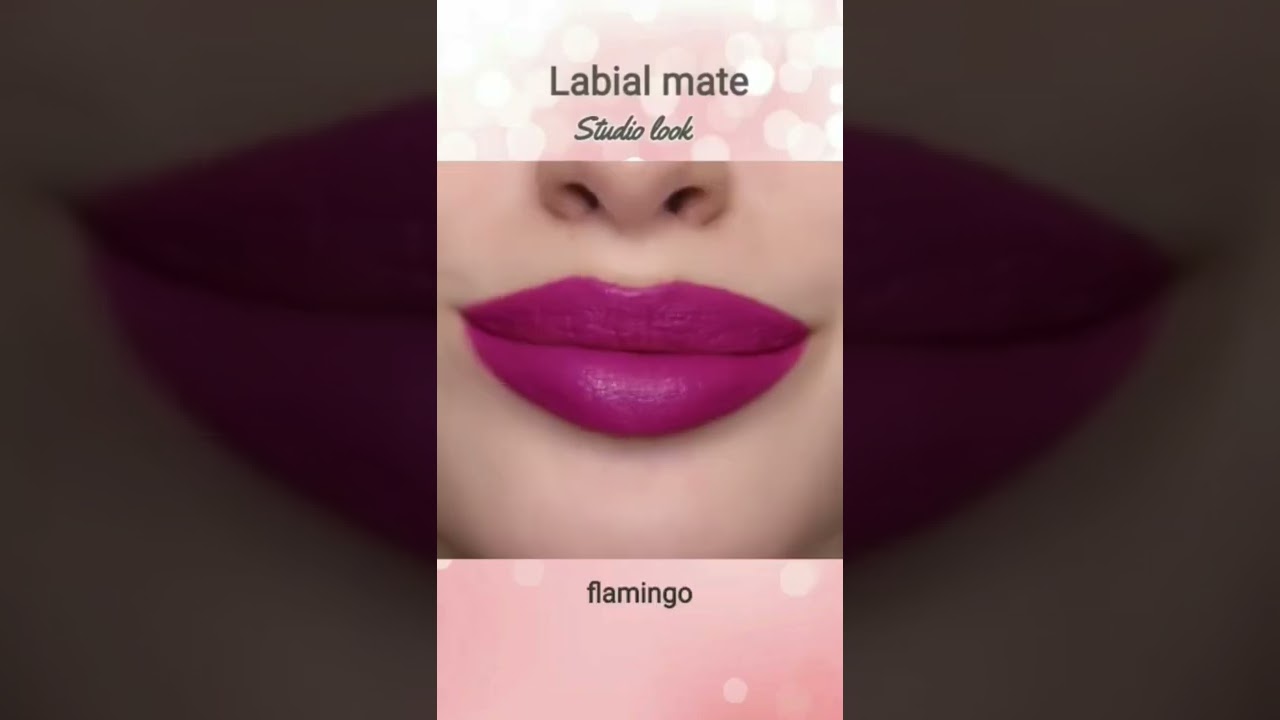 Flamingo 💋 labial Studio look mate. #cyzone #Studiolook #labialmate # ...