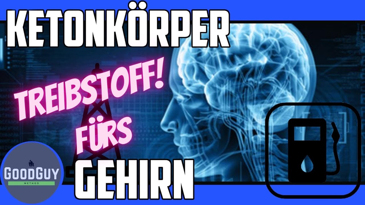 Ketonkörper Supertreibstoff für dein Gehirn! Ketogenese Gluconeogense ...