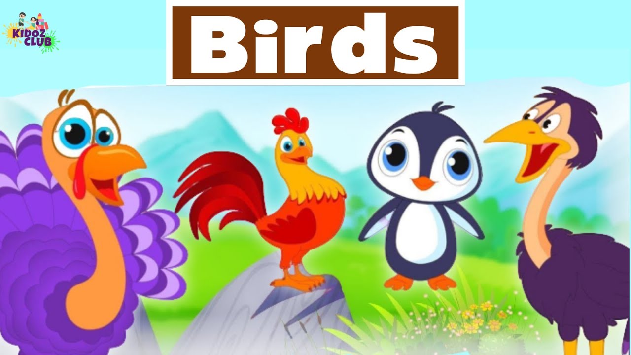 Birds For Kids | learn Birds For Kids | Birds Name English | BIRDS ...