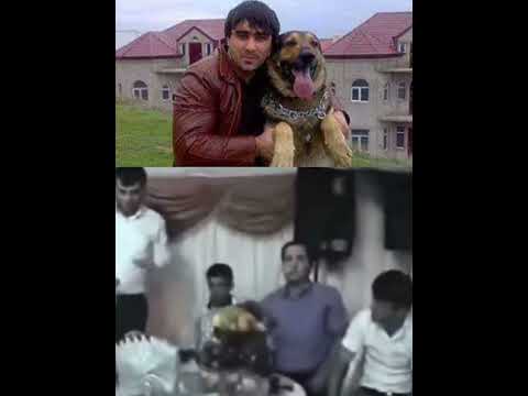 Samir Razin ( Skalolaz ) . Rəşad Dağlı Razin haqqında dolya .