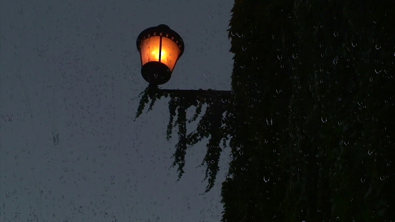 Sleep Immediately to Heavy Rain Sounds Sleeping & Relaxing | Fall ...