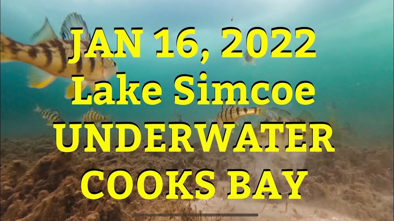 LAKE SIMCOE JAN 16, 2022 UNDERWATER VIDEO, COOKS BAY - YouTube
