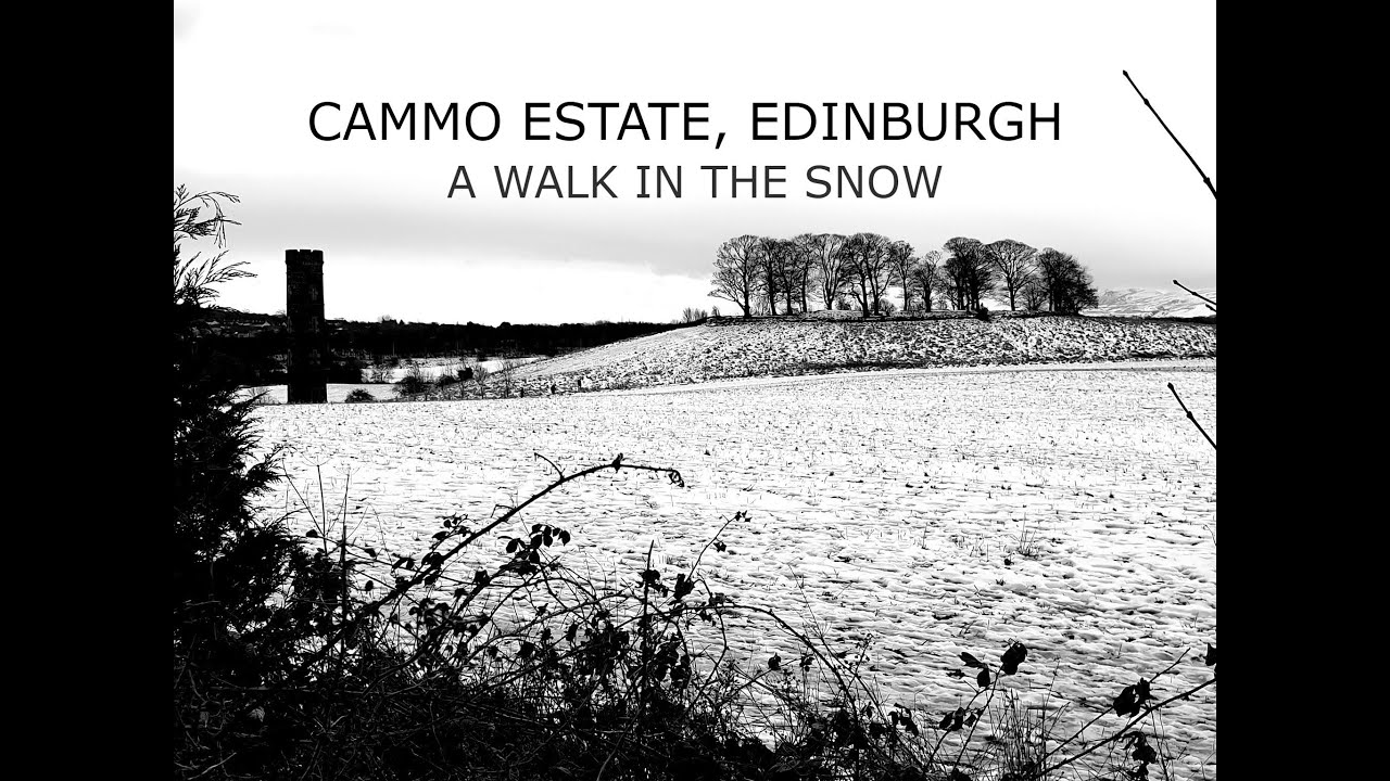 Walk With Me | Cammo Estate and Woodlands, Edinburgh in The Snow ...