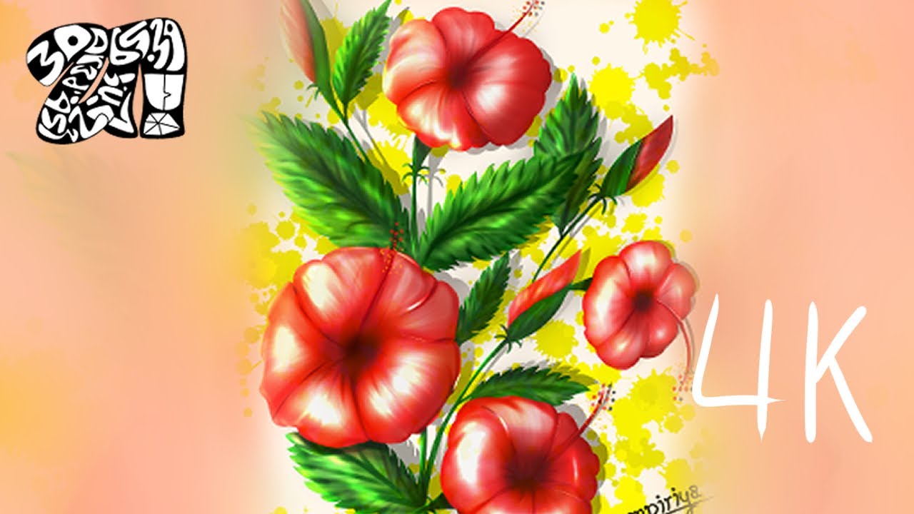 【Zinc Drawing】Speedpaint | Malvaceae - YouTube