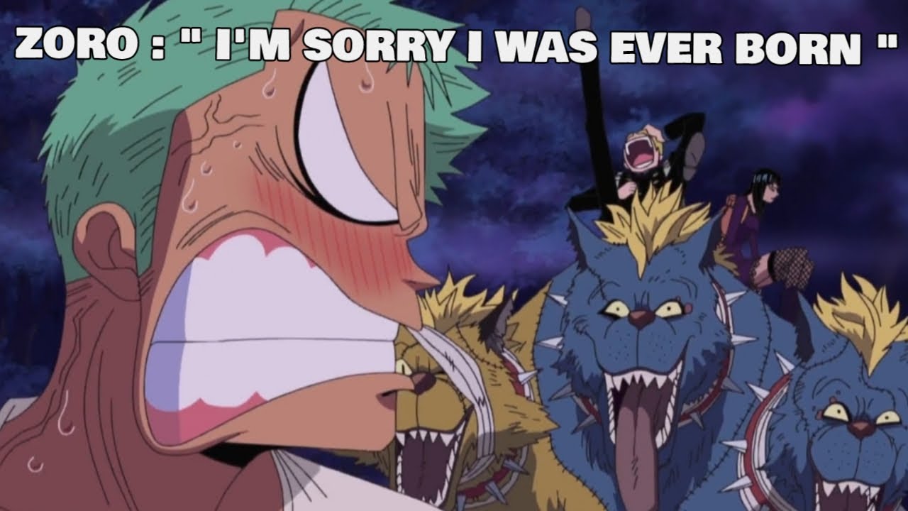 Zoro " I'm sorry i was ever born " One Piece Funny moment - YouTube