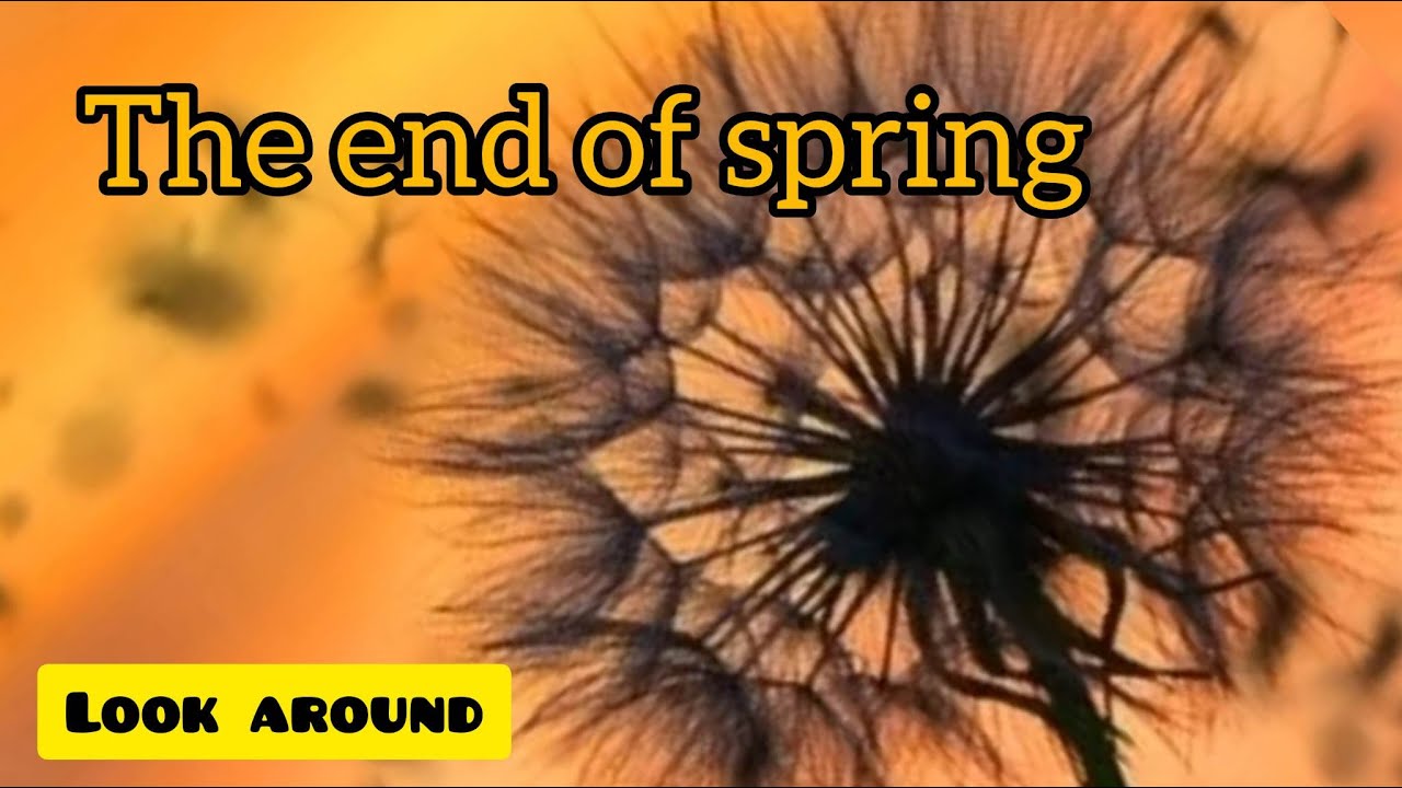 THE END OF SPRING | SOUNDS OF NATURE | VIDEO FOR RELAXATION | LOOK ...