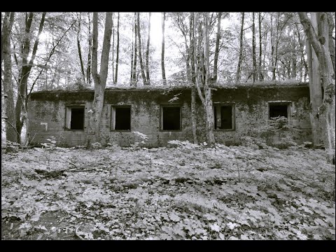 FHQ Wolfsschanze Sperrkreis 2 Teil 2 OKL & OKM... - Ostpreußen / Wilczy Szaniec, Strefa 2