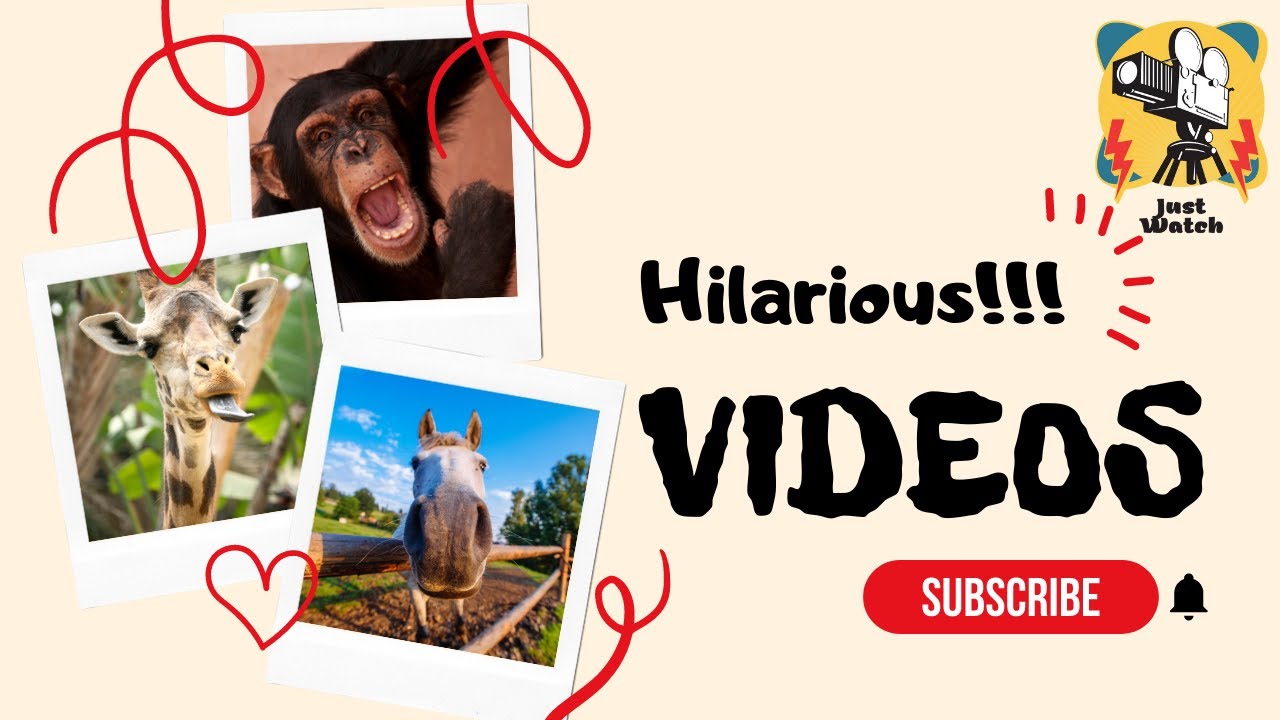 Try Not To Laugh AFV Fails Funny Videos - YouTube