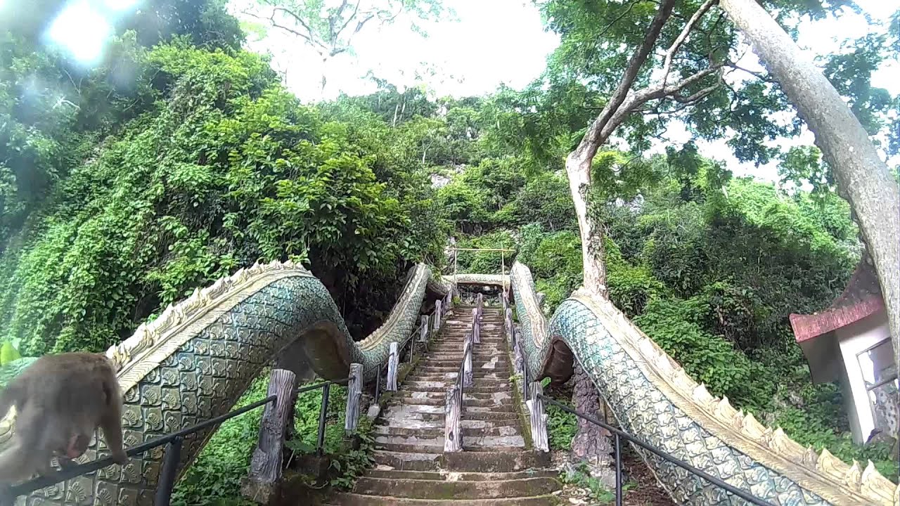 תאילנד מקדש הקופים צפון Chiang Rai monkeys and fish temple - YouTube
