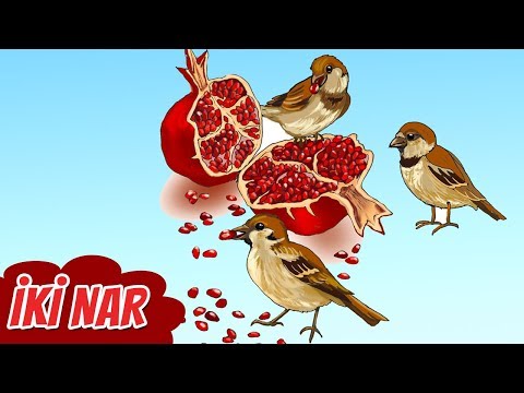 İki nar (4-cü sinif Azərbaycan dili)