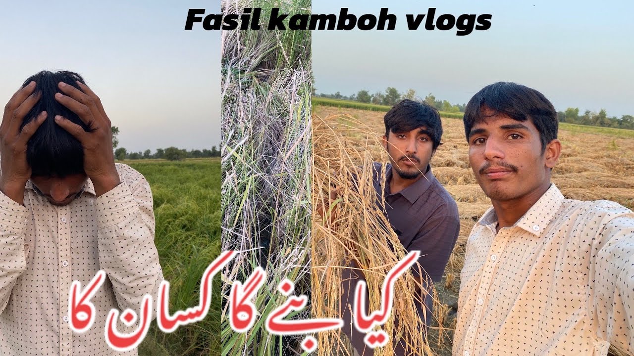 Monjy ka hall chak karny - YouTube