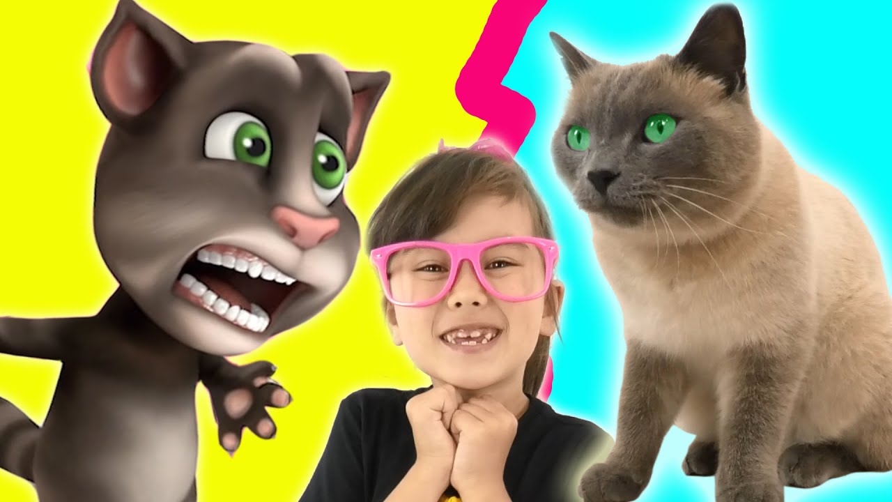 Talking Tom VS Real Talking Cat. My Talking Tom In Real Life with Abby ...