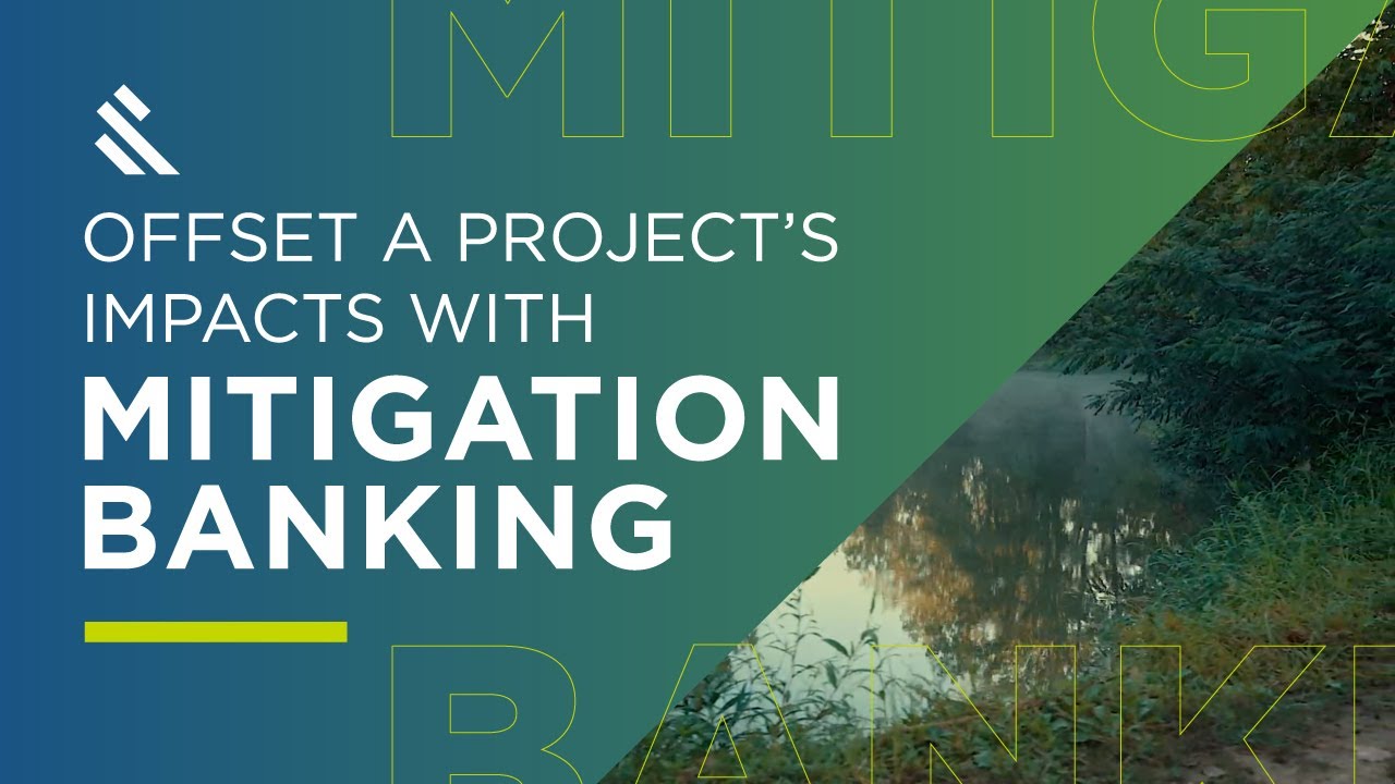 Offset a Project’s Impacts With Mitigation Banking - YouTube