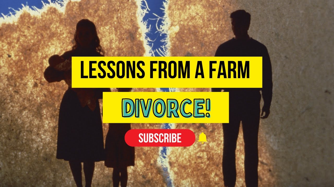 Lessons from a Farm Divorce! - YouTube