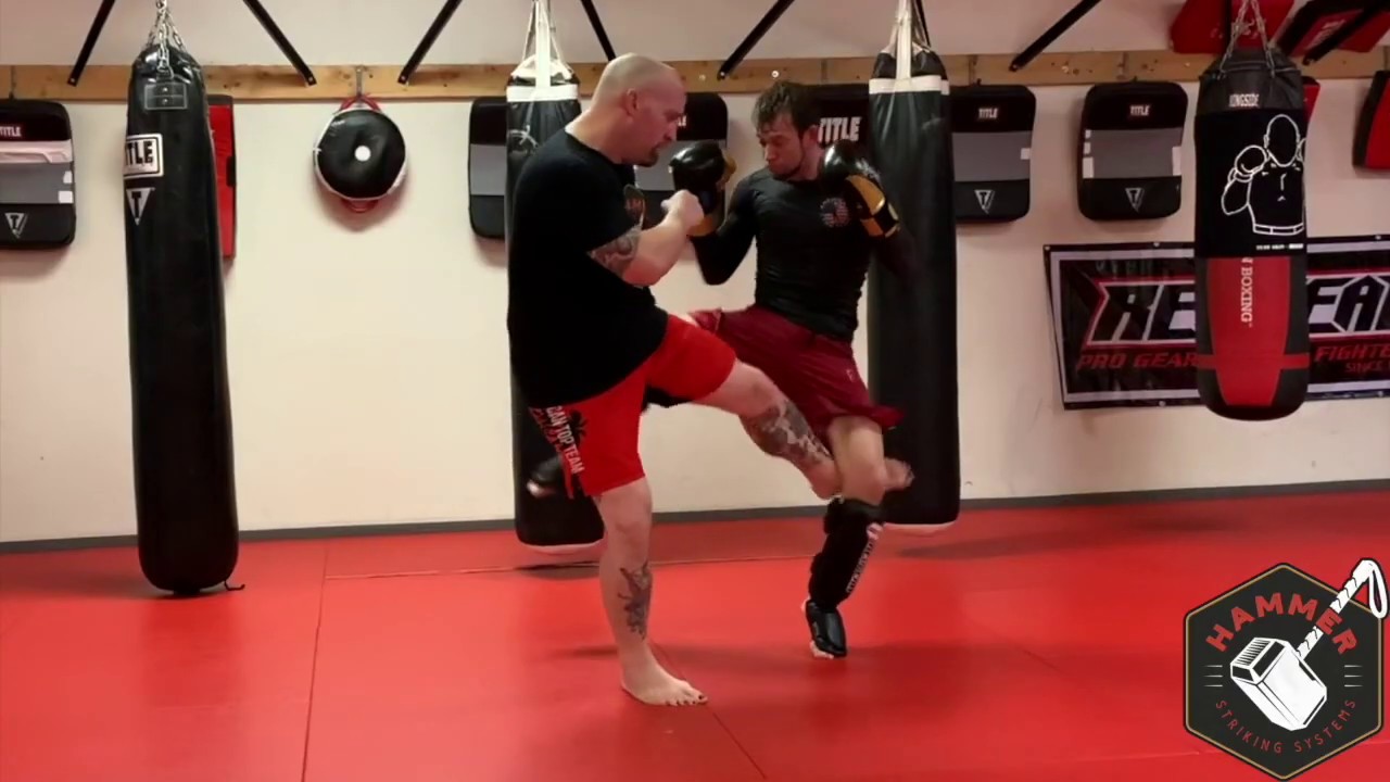 Catching & Countering the Body Kick - Hammer Striking - YouTube