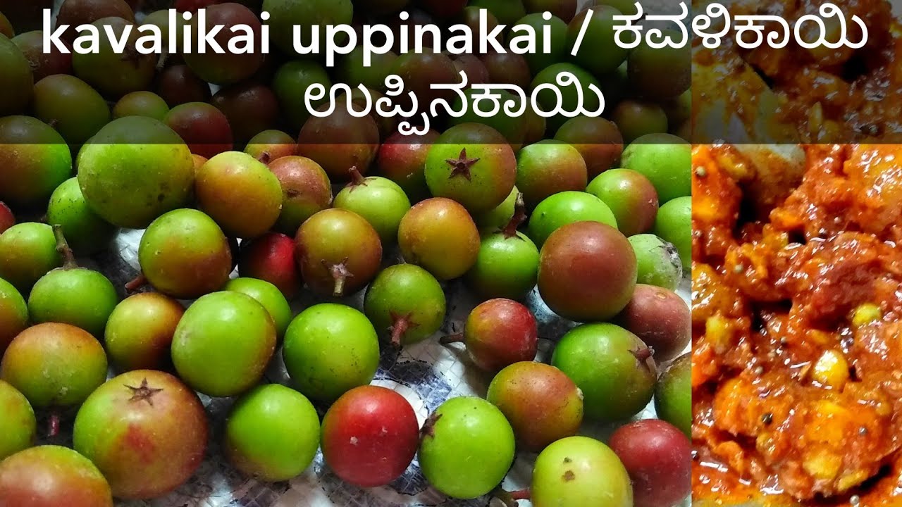 ಕವಳಿಕಾಯಿ ಉಪ್ಪಿನಕಾಯಿ ಮಾಡುವ ವಿಧಾನ | kavalikai uppinakai | carissaberry ...