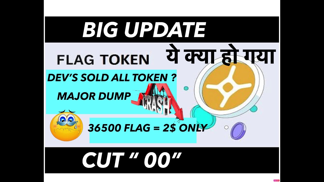 FLAG NETWORK UPDATE | DEVS SOLD ALL TOKEN 😳| CHECK YOUR FLAG TOKEN NOW ...