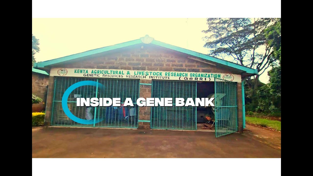 Inside a Gene Bank - YouTube