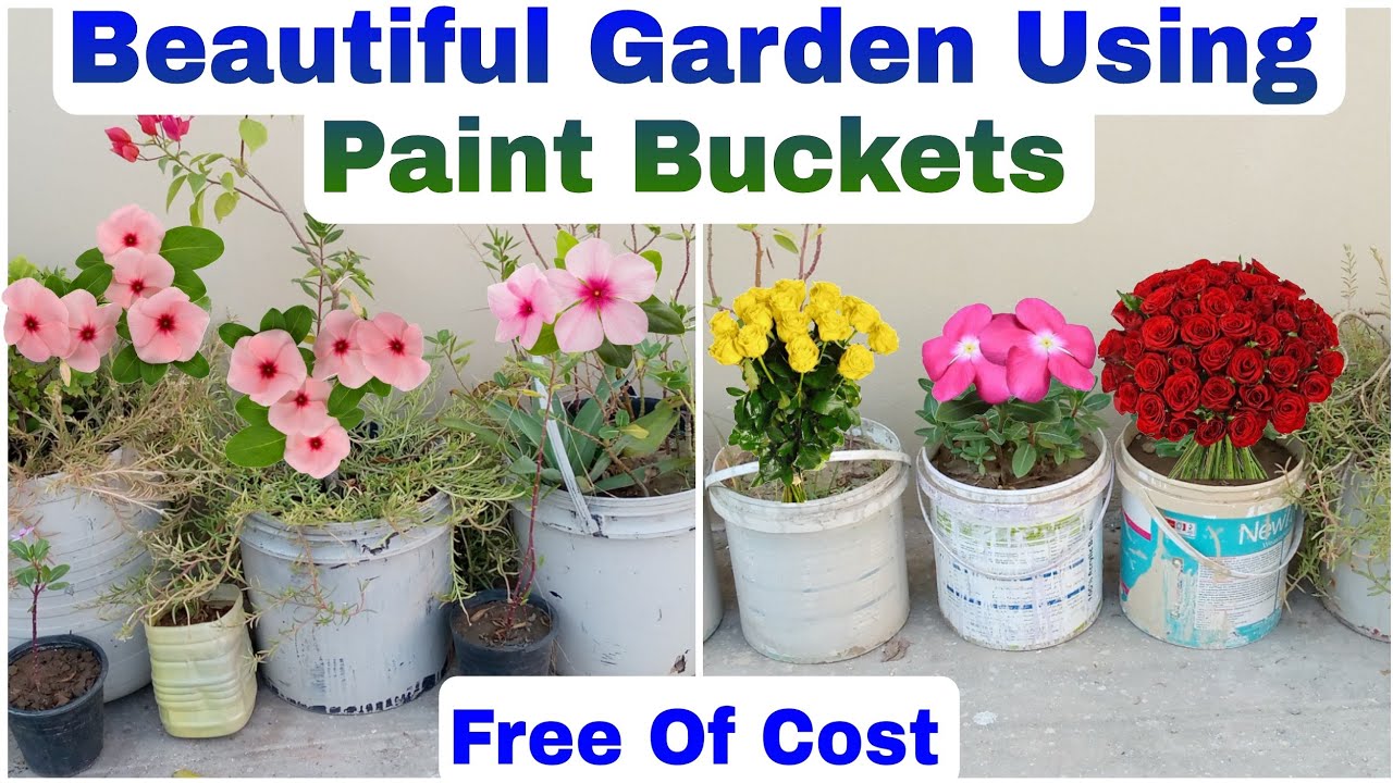 Beautiful Garden Using Paint Buckets | Reuse Plastic Containers ...