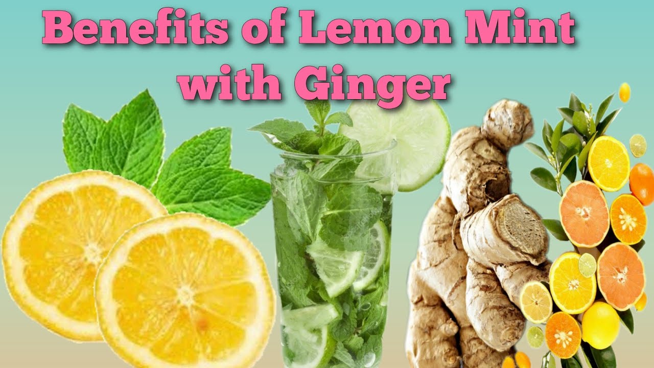 Healthy Benefits of Lemon Mint w/ Ginger (Benepisyo ng Lemon Mint at ...