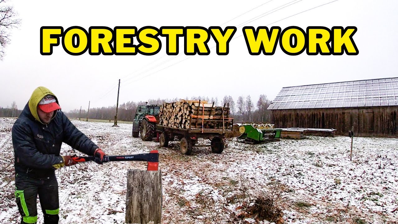 Winter on the Farm: Forestry Work Begins! - YouTube