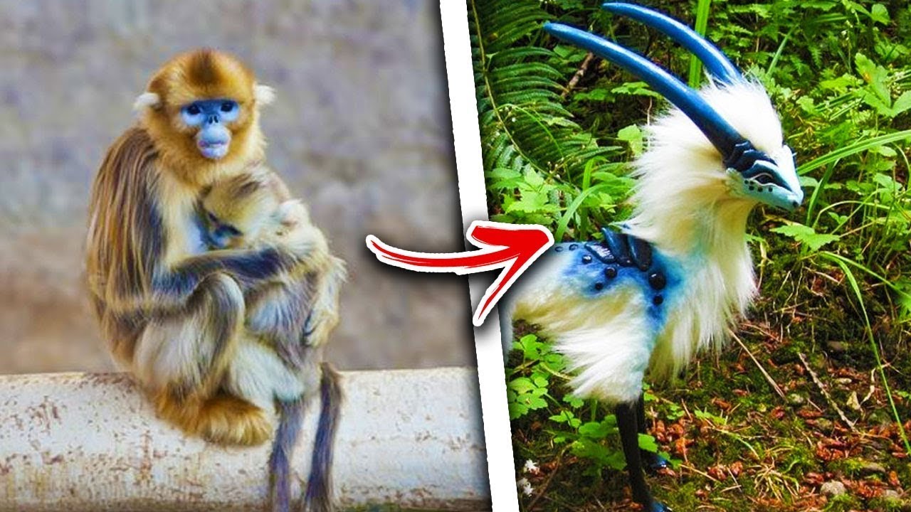 10 Unusual Animals You Won't Believe Are Real - YouTube